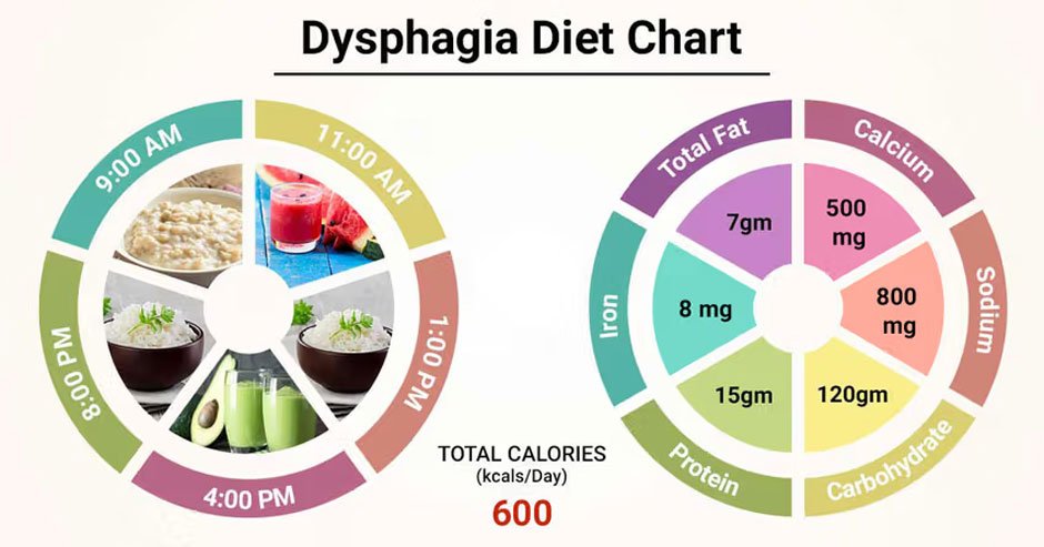 Dysphagia Diets: Key Texture Levels Explained - Live Sound Blog