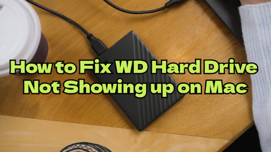 How to Fix WD Hard Drive Not Showing up on Mac - 2025 Tips